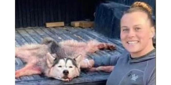 She Proudly Killed And Skinned A Siberian Husky Dog ALStrays Animal she-proudly-killed-and-skinned-a-siberian-husky-dog-alstrays-animal