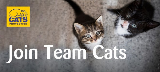 Cats Protection Fundraising Events – ALStrays Animal Welfare & Pet ...
